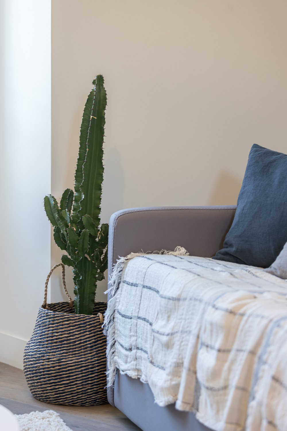 BAVASTRO - The Port - refurbished 2 piece ; apartment for rent in Nice ...