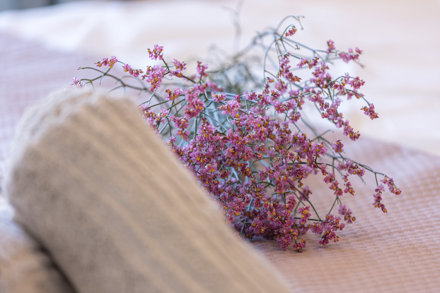 BAVASTRO - The Port - refurbished 2 piece ; apartment for rent in Nice ...